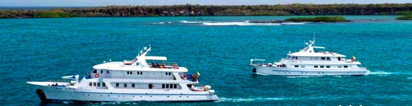 Small Boat Cruises in the Galapagos